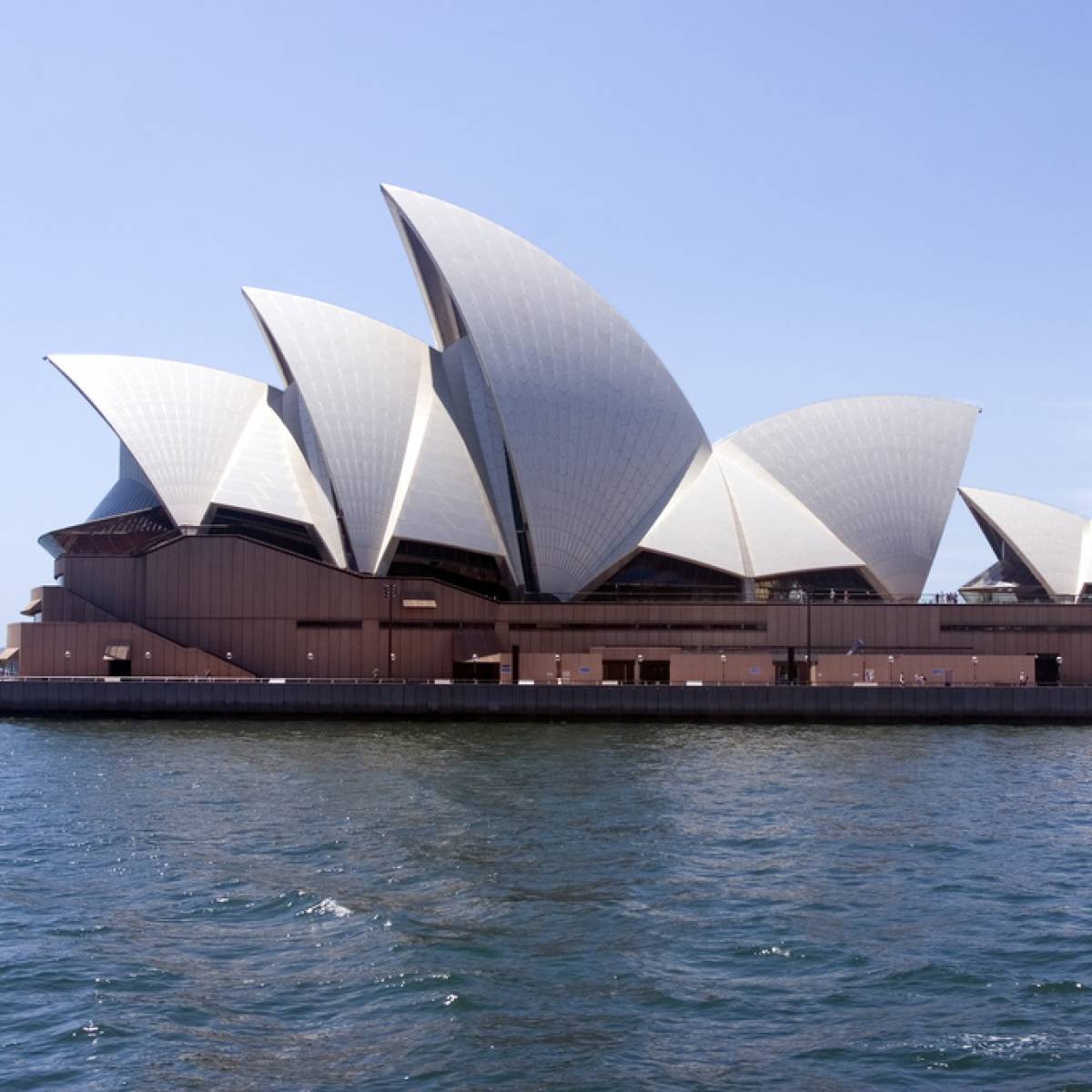 Cervical Posterior Laminoforaminotomy - Addison Stone